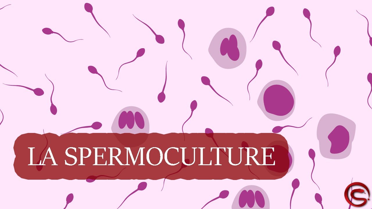 Qu’est-Ce Que La Spermoculture / Le Spermogramme / Spermocytogramme ...